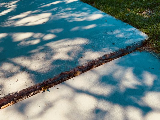 ALIANTE NATURE DISCOVERY PARK - Updated October 2025 - 433 Photos & 147 ...