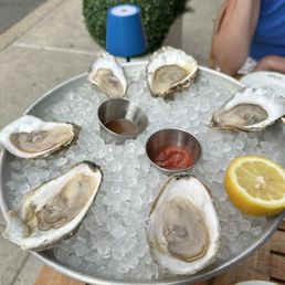 FLEX MUSSELS - Updated October 2025 - 1077 Photos & 1262 Reviews - 1431 ...