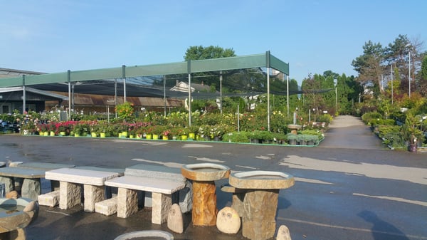 LURGAN GREENHOUSE - Updated July 2025 - 18 Reviews - 8126 Oakdale Rd ...