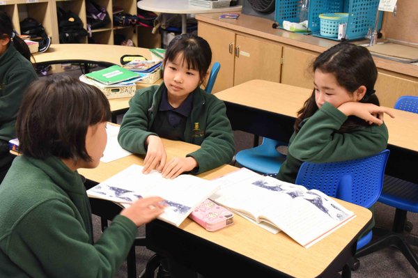 SPRINGBRIDGE INTERNATIONAL SCHOOL - Updated December 2025 - 14 Photos ...