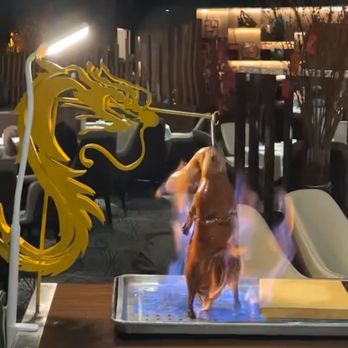 ARRAY 36 - Updated October 2024 - 1569 Photos & 411 Reviews - 5449 ...