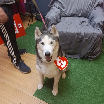 LOLA & PENELOPE’S - Updated July 2025 - 65 Photos & 93 Reviews - 7742 ...