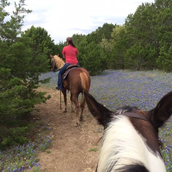 PARRIE HAYNES RANCH - Updated January 2026 - 23 Photos - 2419 Gann ...