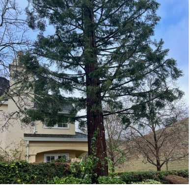 Bamboo Insurance - Trusted Since 2022 - Updated July 2025 - 29 Photos ...