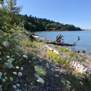 FIDALGO BAY RESORT - 119 Photos & 34 Reviews - 4701 Fidalgo Bay Rd ...