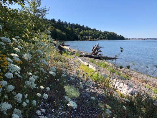 FIDALGO BAY RESORT - Updated December 2025 - 122 Photos & 40 Reviews ...