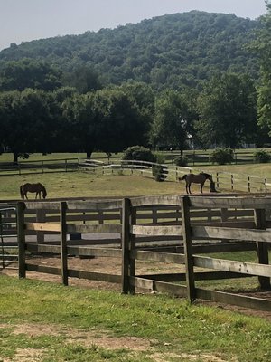 ROYAL HORSESHOE FARM - Updated December 2025 - 55 Photos & 44 Reviews ...