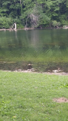 PINHOOK PARK - Updated July 2024 - 11 Photos - 2801 Riverside Dr, South ...