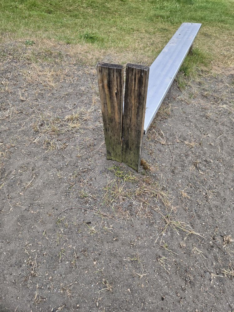 LAKE MAYFIELD RESORT & MARINA - Updated July 2025 - 37 Photos & 32 ...