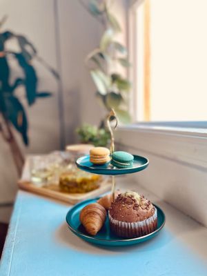 PLANTOEM - Updated June 2024 - 446 Photos & 97 Reviews - 3457 Waialae ...