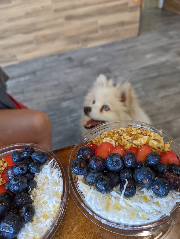 BAYA BAR - ACAI & SMOOTHIE SHOP - Updated December 2025 - 59 Photos ...