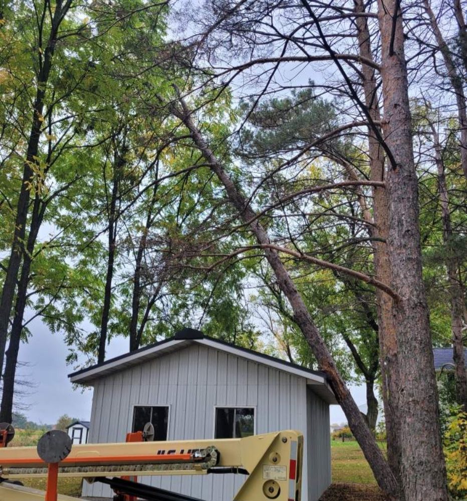 WILSON TREE & PROPERTY SERVICES - Updated September 2025 - Request a ...