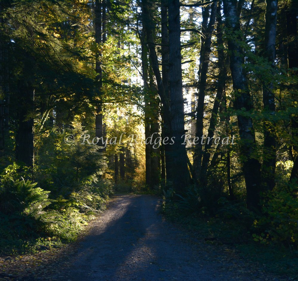 ROYAL RIDGES RETREAT - 21 Photos - Paintball - 20115 NE 354th St ...