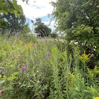 WILLIAM G MILLIKEN STATE PARK AND HARBOR - Updated October 2025 - 63 ...