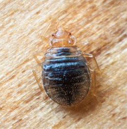 STANDARD EXTERMINATING COMPANY - Updated October 2025 - 11 Photos ...