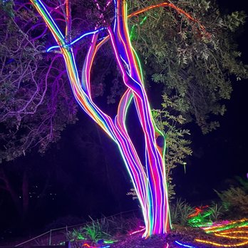 LIGHTSCAPE SAN DIEGO - Updated November 2024 - 189 Photos & 38 Reviews ...