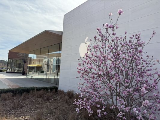 APPLE SOUTHPOINT - Updated August 2025 - 35 Photos & 198 Reviews - 8030 ...