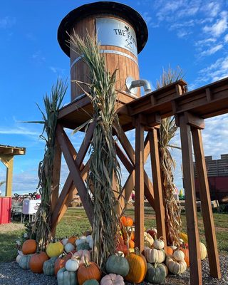 THE FARM - Updated December 2025 - 62 Photos - 769 Bray Ford Rd, Dobson ...