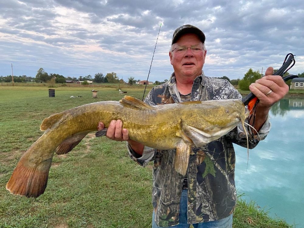 KAT DADDY’S FISH FARM - Updated January 2026 - 4405 Midland Fosterville ...