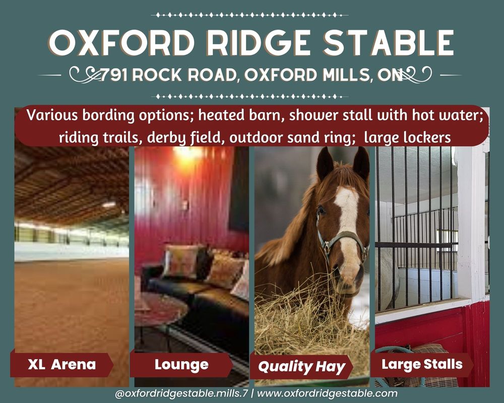 OXFORD RIDGE STABLE - Updated January 2026 - 791 Rock Road, Oxford ...
