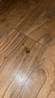 REDPOINT TEMPE - Updated January 2026 - 67 Photos & 92 Reviews - 708 S ...