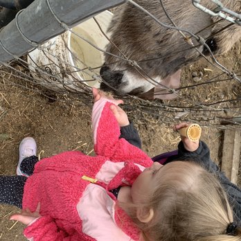 PEZZA FARM AND GARDEN CENTER - Updated October 2025 - 64 Photos & 18 ...