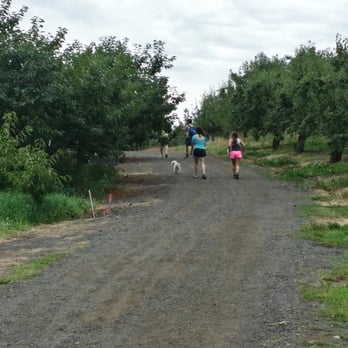 POOLE FAMILY FARMS - Updated October 2025 - 2669 Wheeler Rd, Hood River ...