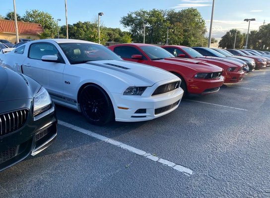 MINT AUTO SALES - Updated December 2025 - 80 Photos & 86 Reviews - 6036 ...