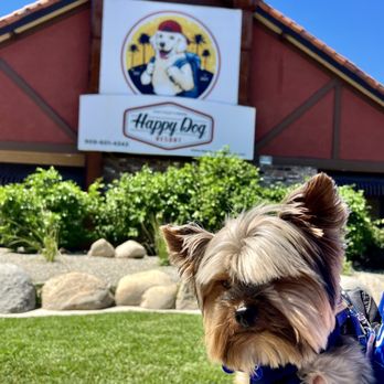 HAPPY DOG RESORT - Updated September 2024 - 82 Photos & 49 Reviews ...