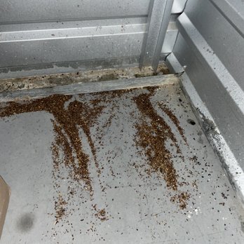 SELF STORAGE PLUS - Updated December 2025 - 14 Photos - 1808 Michael ...