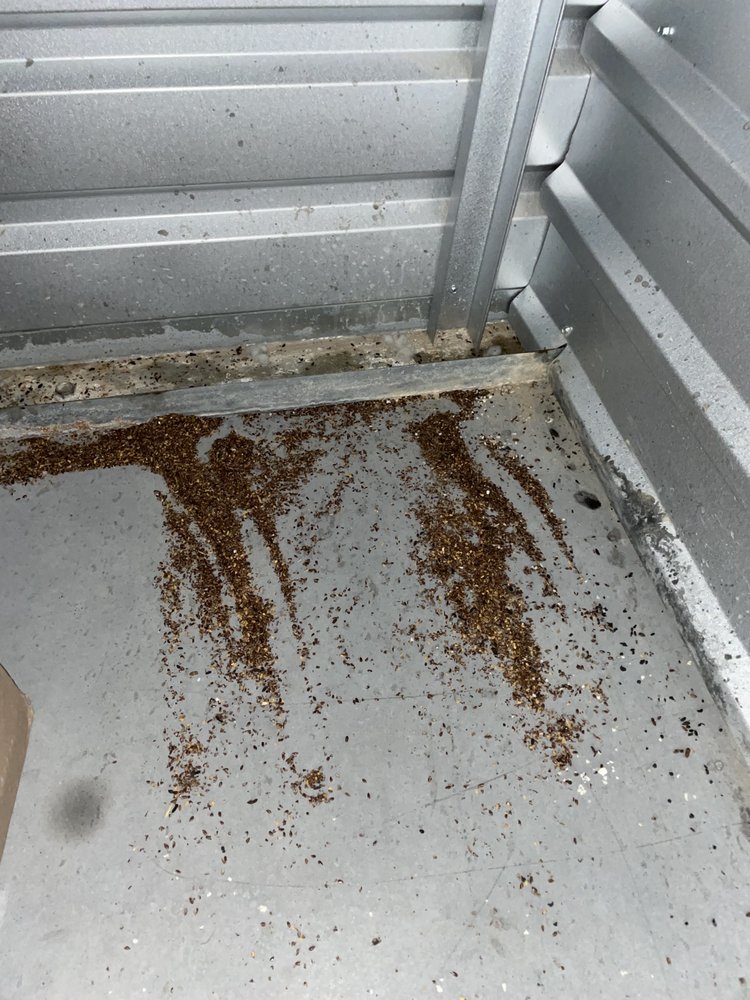 SELF STORAGE PLUS - Updated December 2025 - 14 Photos - 1808 Michael ...