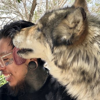 WOLF MOUNTAIN SANCTUARY - Updated December 2025 - 457 Photos & 190 ...