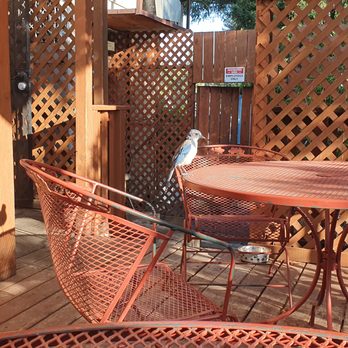 THE LOST FRENCH MAN - Updated February 2025 - 110 Photos & 158 Reviews ...