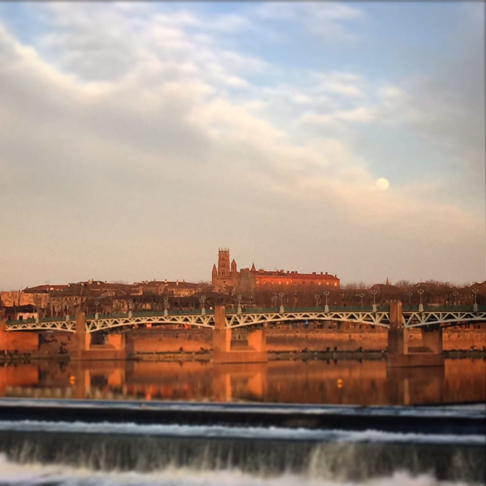 PeteThePuggle: The Journey Beyond the Waves 2026-01-29T02:42:19.200358500