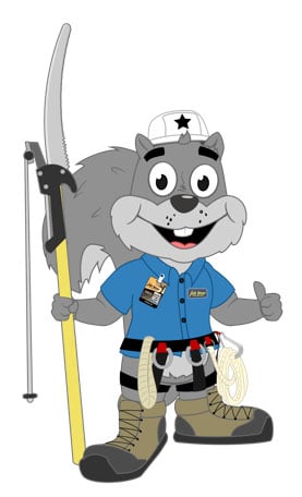 ALL STAR TREE SERVICE - Updated December 2025 - 213 Grove Ave ...