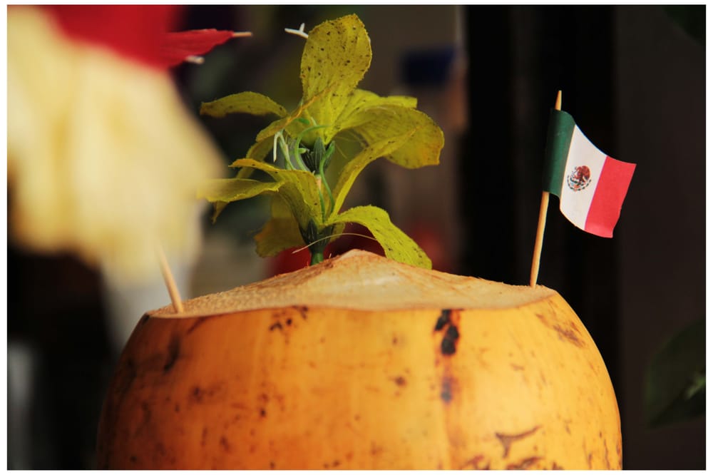 COCO CHANGO - Updated July 2024 - Calle 28, Playa del Carmen, Quintana ...