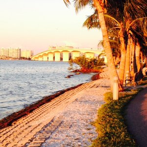 BIRD KEY PARK - Updated June 2024 - 117 Photos & 16 Reviews - 101 Bird ...