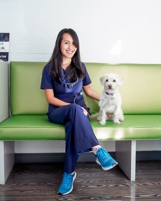 KATHRINA AGATEP, DDS - DENTAL DESIGN SD - Updated May 2026 - 39 Photos ...