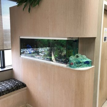 HAIKEN MICHAEL J MD PA - Updated January 2026 - 13691 Metro Pkwy, Fort ...