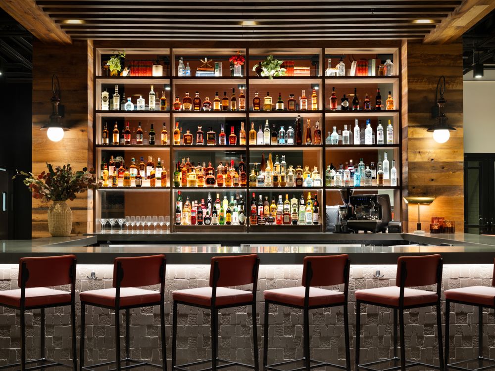 SHOW PONY - Updated December 2025 - 79 Photos & 23 Reviews - 151 ...