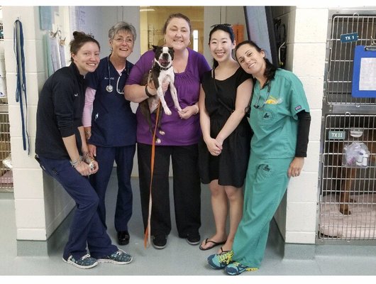 OCEAN STATE VETERINARY SPECIALISTS - Updated December 2025 - 108 Photos ...