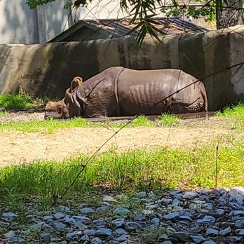 BATON ROUGE ZOO - Updated November 2025 - 412 Photos & 64 Reviews ...