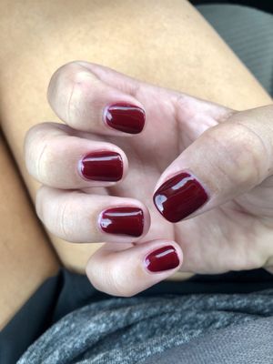 NAIL TECH 8 - 461 Photos & 113 Reviews - 7323 W Irving Park Rd, Chicago ...