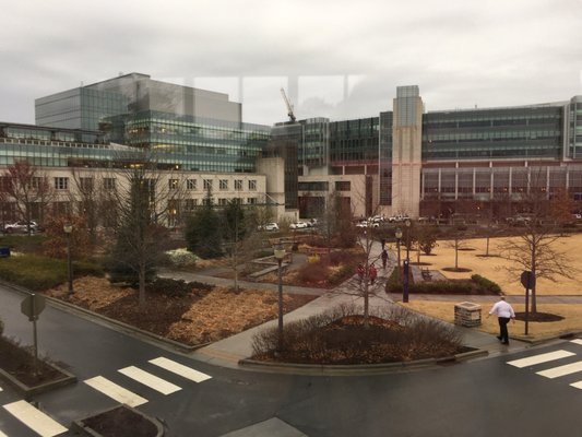 DUKE CLINIC - Updated December 2025 - 17 Photos & 13 Reviews - 40 Duke ...