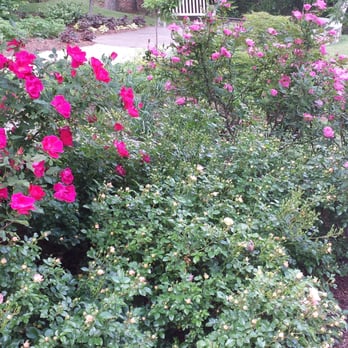 EDITH J. CARRIER ARBORETUM - JAMES MADISON UNIVERSITY - Updated March ...