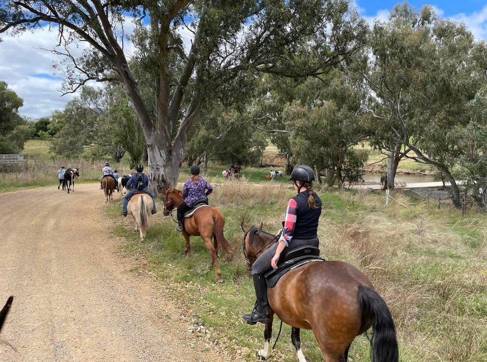 MEADOW HORSE RIDING - Updated April 2025 - 817 N 4th St, Phoenix ...