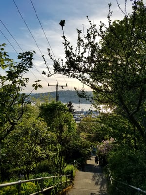 HOWE STREET STAIRS - 25 Photos & 24 Reviews - 810 E Howe St, Seattle ...