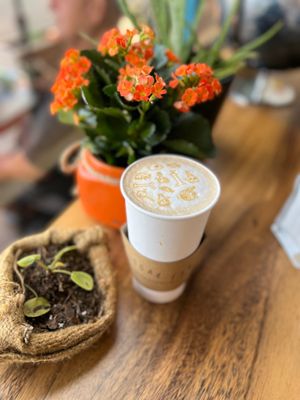 LOCAL JOE - Updated November 2024 - 1396 Photos & 575 Reviews - 110 ...