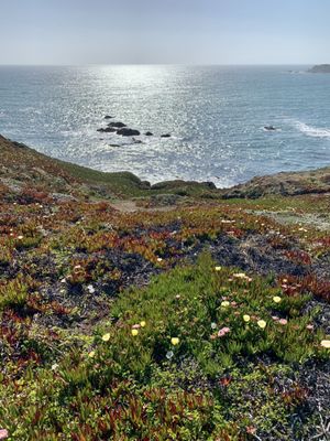 FORT ROSS LODGE | 90 Photos & 125 Reviews | 20706 Coast Hwy 1, Jenner ...