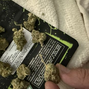 PUFF UTICA - Updated January 2026 - 15 Photos & 64 Reviews - 44825 Van ...